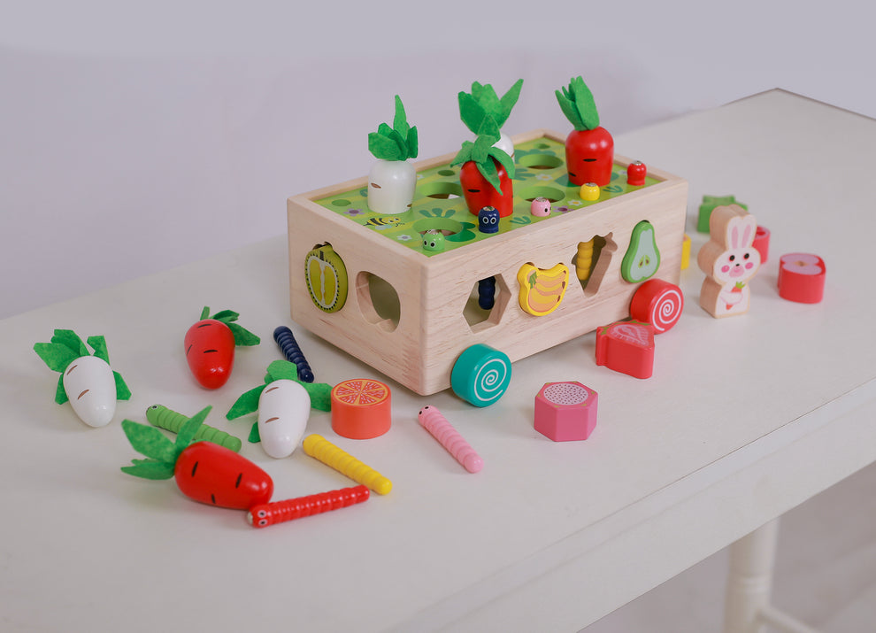 Montessori Garden Shape Sorter (Wooden Carrot Busy Box ...